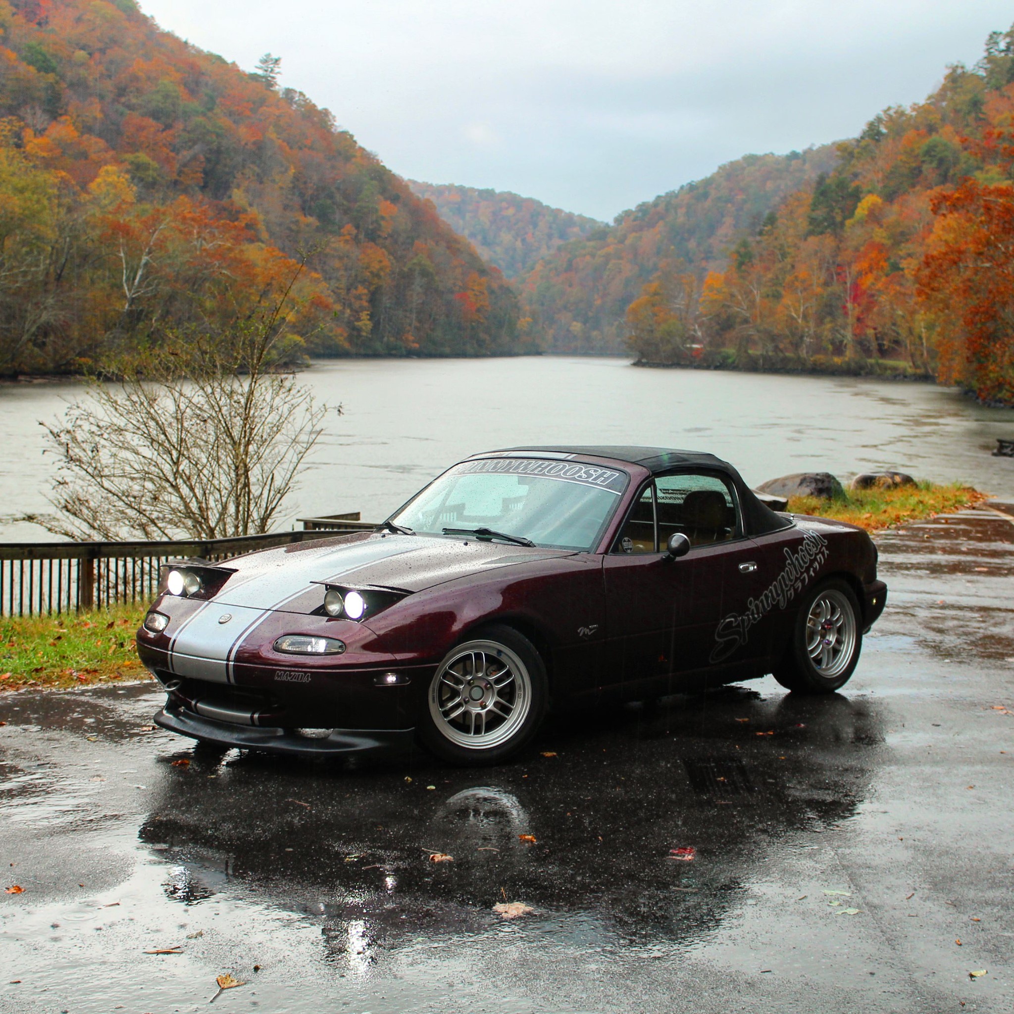 The Moss Fall Photo Contest 2021 – Miata