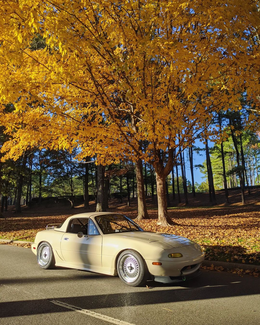 The Moss Fall Photo Contest 2021 – Miata