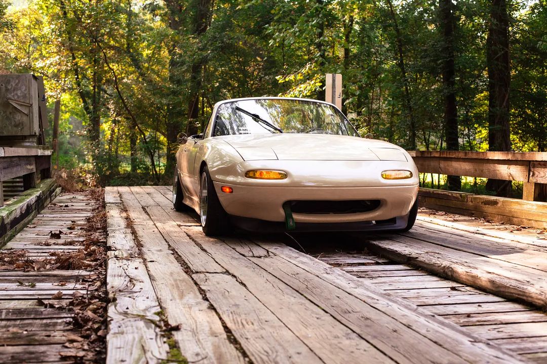 The Moss Fall Photo Contest 2021 – Miata