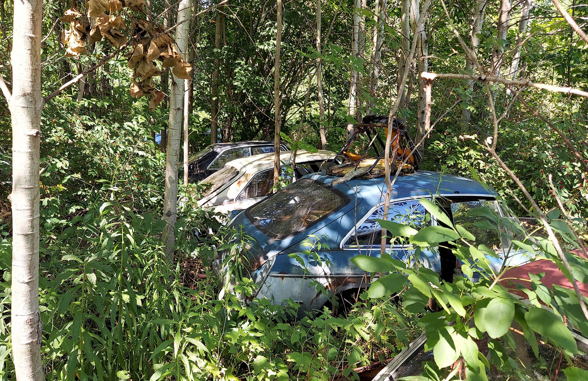 Issue 3, 2022 – Moss Motoring